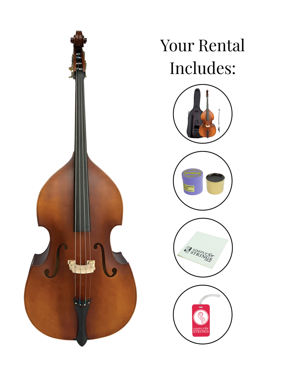 Beginner Double Bass Rental – Simply for Strings
