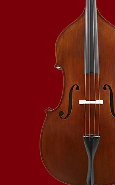 Instrument Rentals – Simply for Strings