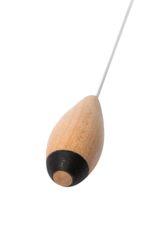 Rohema Haydn Baton – Simply for Strings