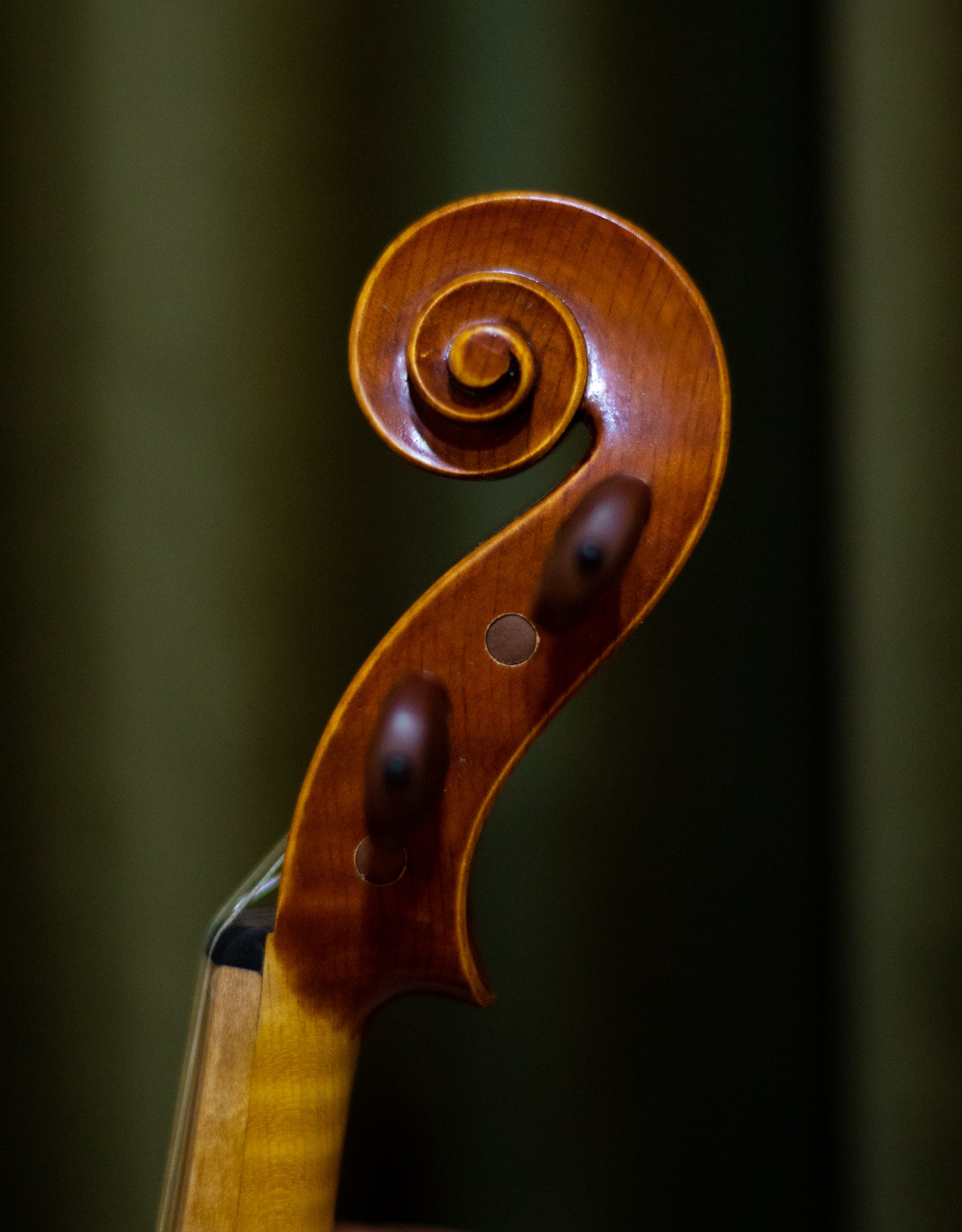 Allegro Violin 4/4 - Baroque Model – Simply for Strings