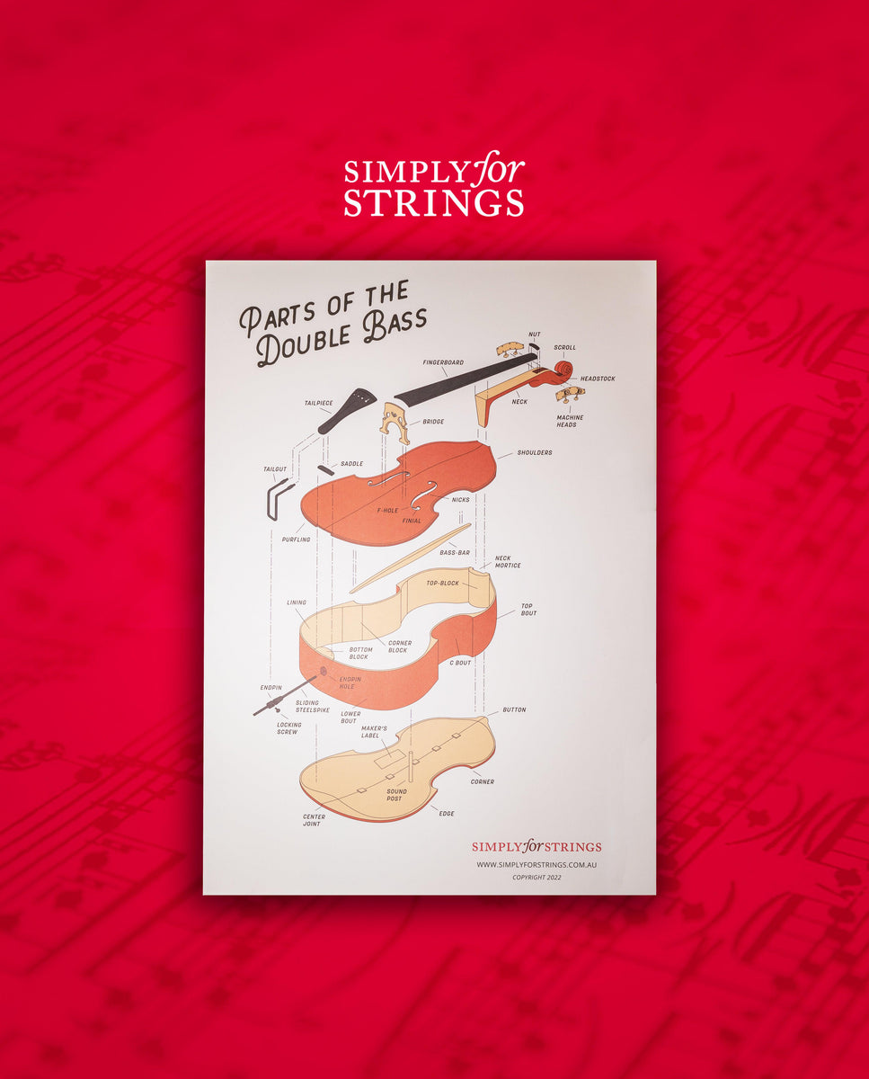 Parts of the Double Bass Poster - A2 Size – Simply for Strings